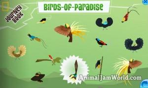 Birds of Paradise Journey Book Cheats - Animal Jam - Animal Jam World