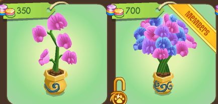 Spring Is Here! - Animal Jam World