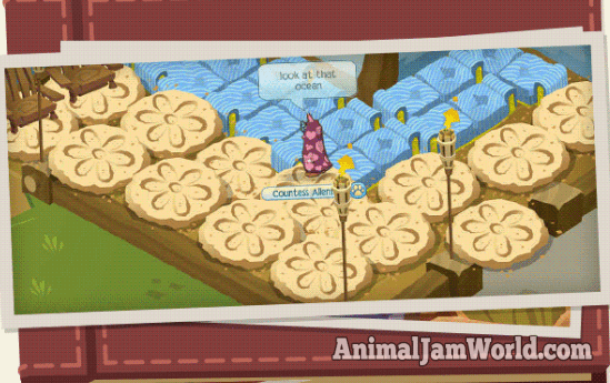 Jammer Snaps Beach Houses Winners and New Contest Announced - Animal ...
