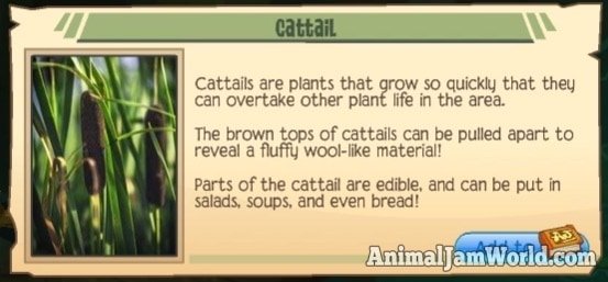 Balloosh Journey Book Guide & Cheats - Animal Jam World