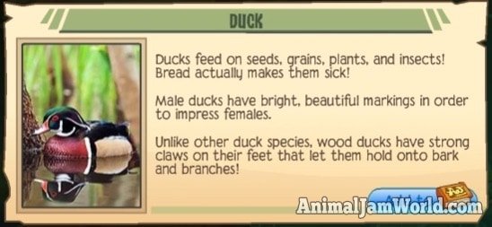 Balloosh Journey Book Guide & Cheats - Animal Jam World