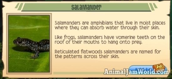 Balloosh Journey Book Guide & Cheats - Animal Jam World