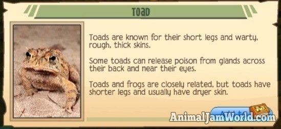 Balloosh Journey Book Guide & Cheats - Animal Jam World